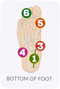 Musculoskeletal (MSK) Foot and Ankle | NHS Lanarkshire