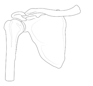 Frozen Shoulder | NHS Lanarkshire