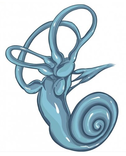 Benign Paroxysmal Positional Vertigo (BPPV) | NHS Lanarkshire