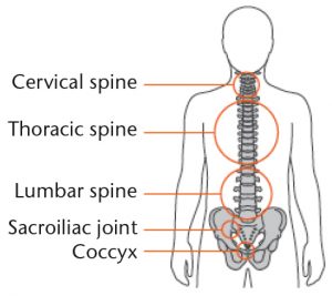 Lumbar | NHS Lanarkshire