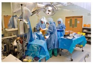 Having a ball (testicle) removed (Orchidectomy) | NHS Lanarkshire