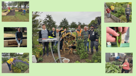 Blossoming Green Health Opportunities for NHS Lanarkshire Patients ...