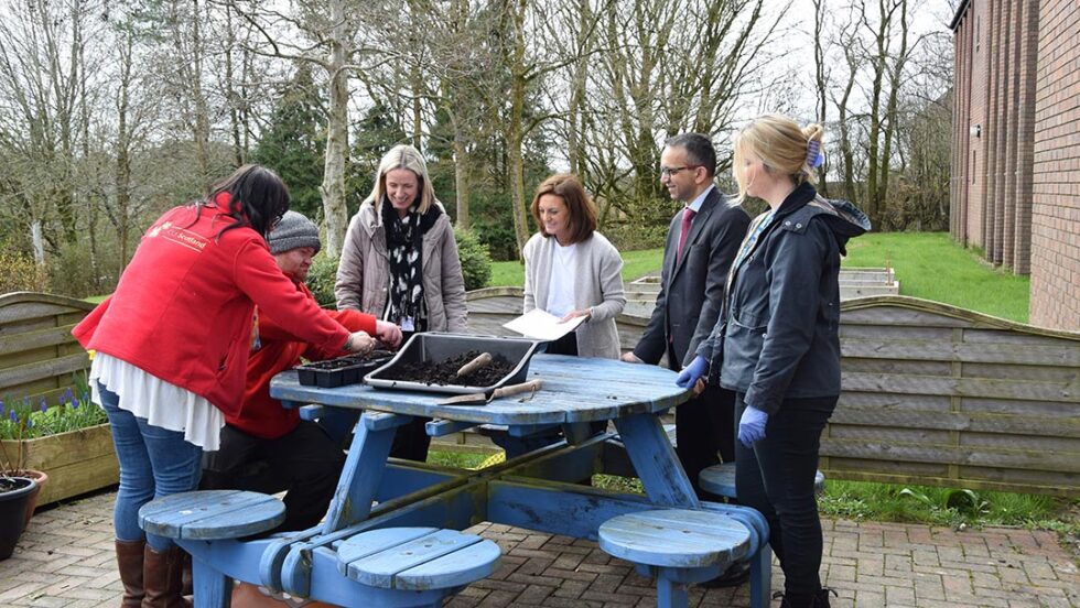 Hospital gardening project sowing seeds of improvement in patient ...