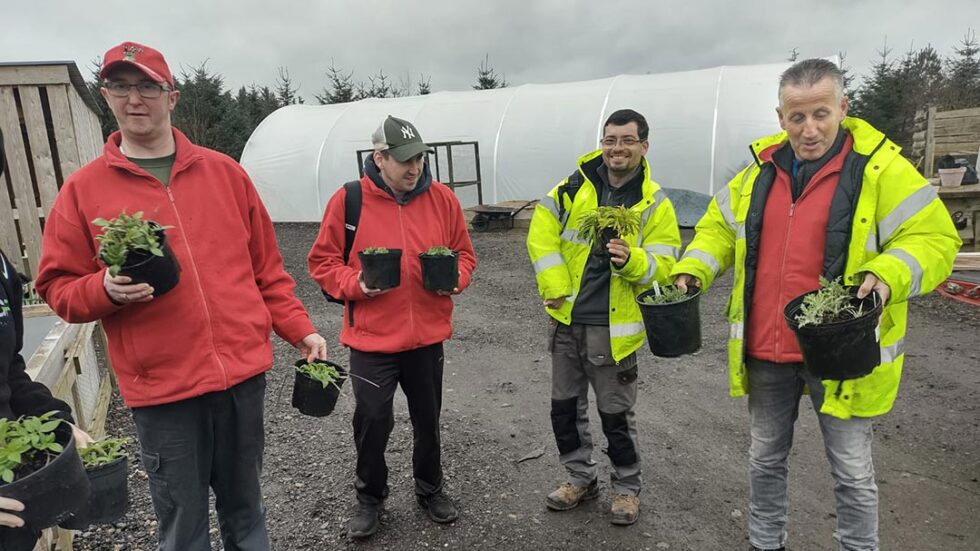 Green Health Partnership receives new funds for greener environments ...